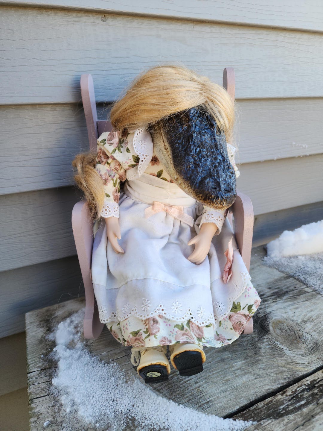 Gator Mummified Freeze Dried Wet Specimen Taxidermy Mount Oddities ...