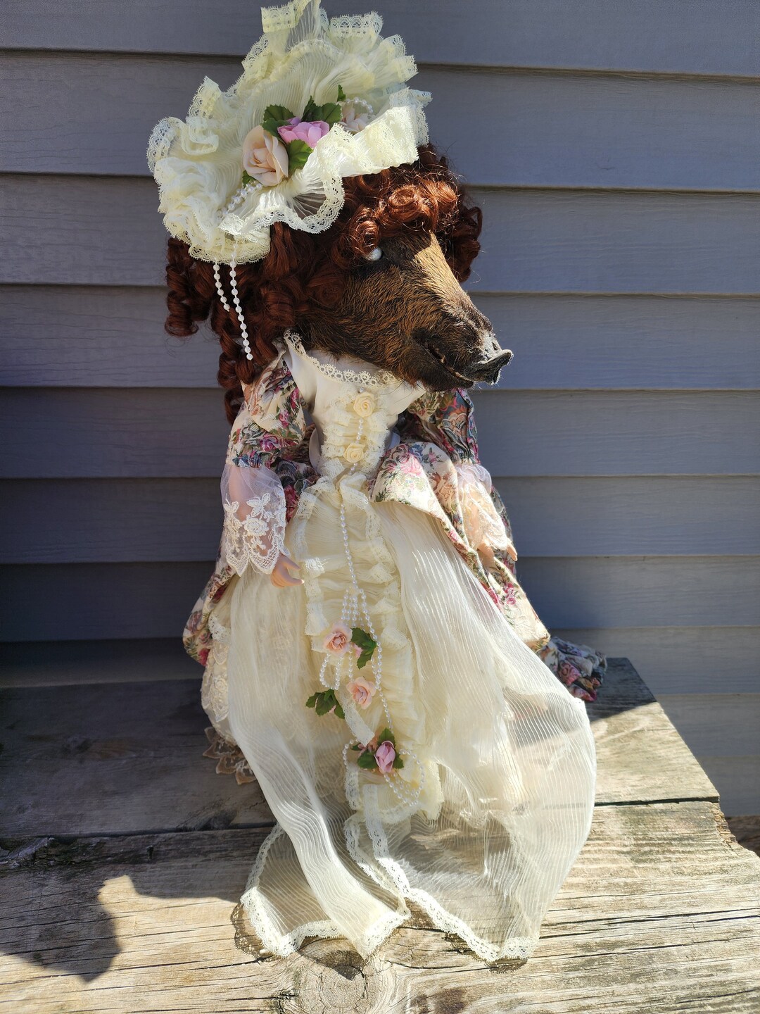 Mrs. Piggy Piglet Pig Hog Mummified Boar Ram Sheep Taxidermy Mount ...