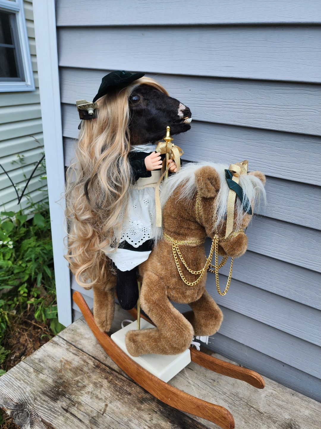 Boar Goat Ram Sheep Head Mummified Freeze Dried Wet Specimen With Jar ...