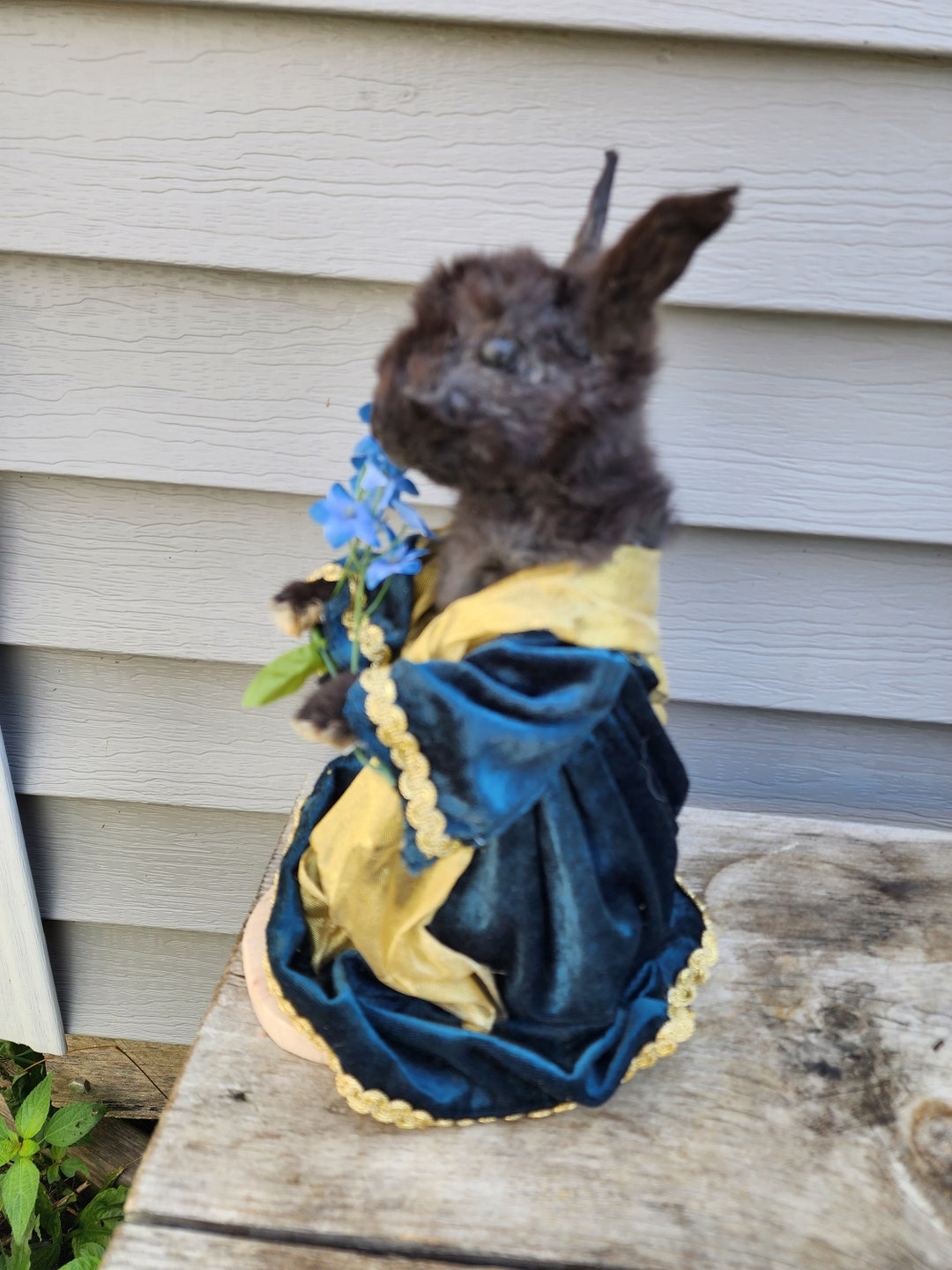 Taxidermy Bunny Rabbit Mount Novelty Obscure Oddities Cabin Wildlife ...