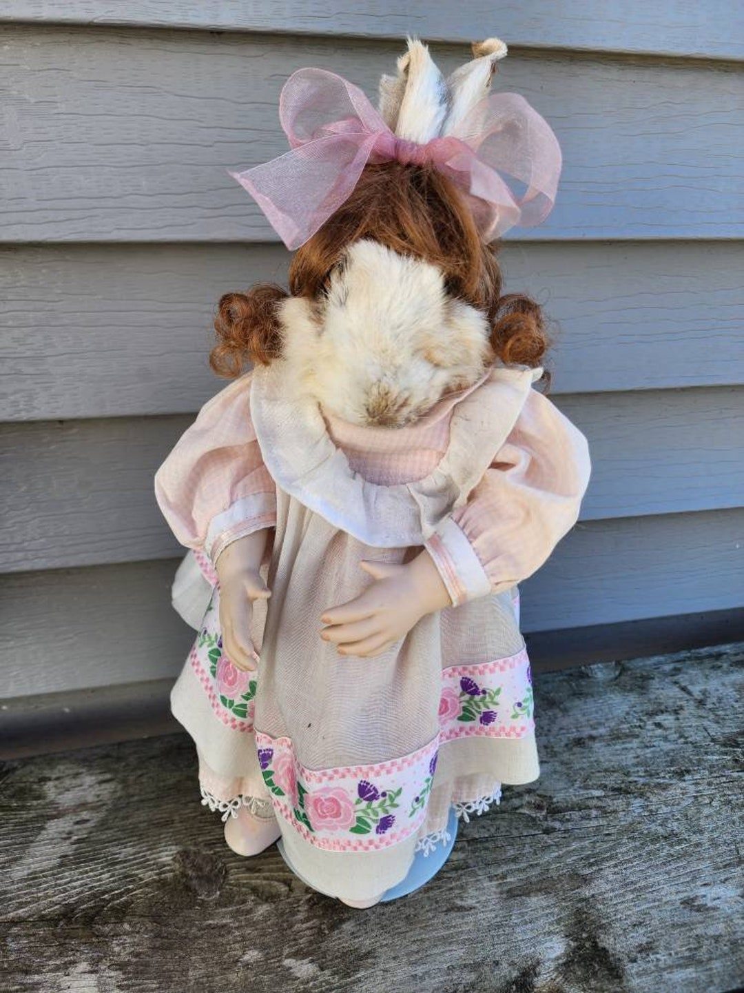 Rabbit Mummified Freeze Dried Wet Specimen With Jar Taxidermy Mount ...