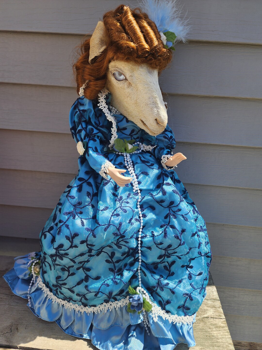 Lamb Doll Boar Goat Ram Sheep Head Mummified Freeze Dried Wet Specimen ...