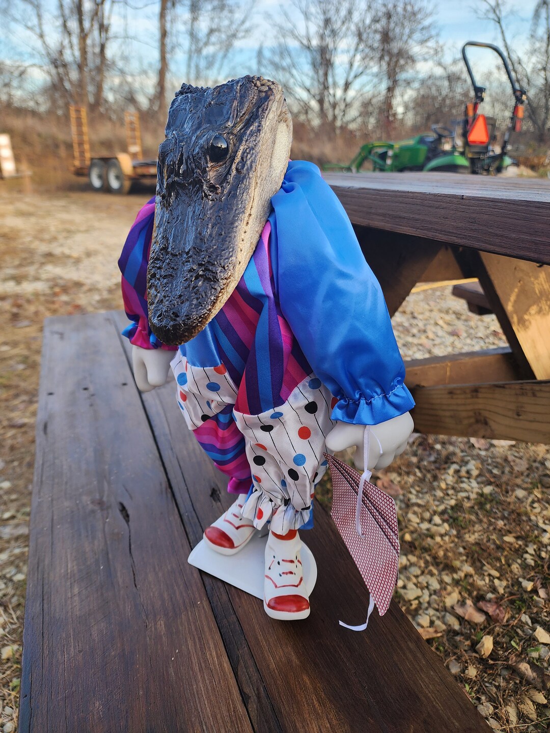 Clown Gator Doll Mummified Taxidermy Mount - Etsy