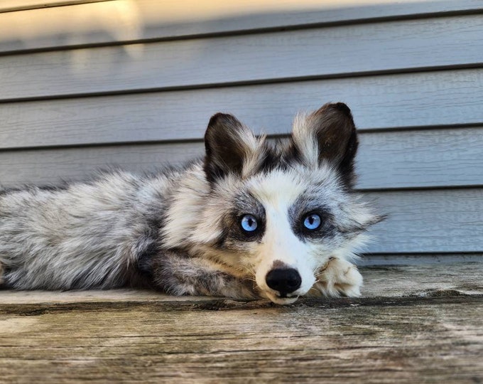 Platnium Fox Softmount Soft Mount Plushie Taxidermy Mount - Etsy
