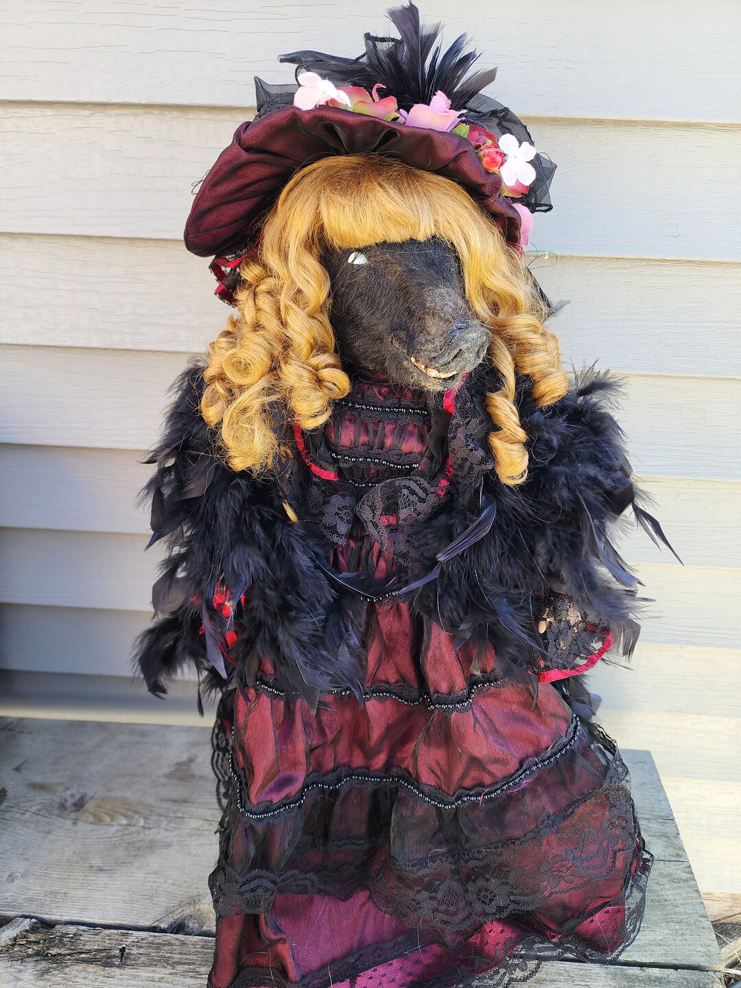 Mrs. Piggy Piglet Pig Hog Mummified Boar Ram Sheep Taxidermy Mount ...