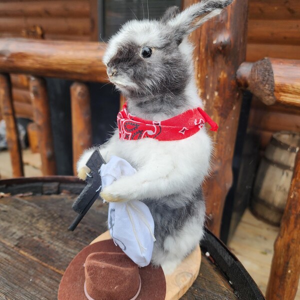 Creeksidetaxidermy - Etsy