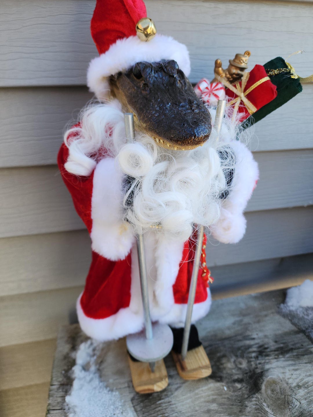 Gator Mummified Freeze Dried Wet Specimen Taxidermy Mount Oddities ...