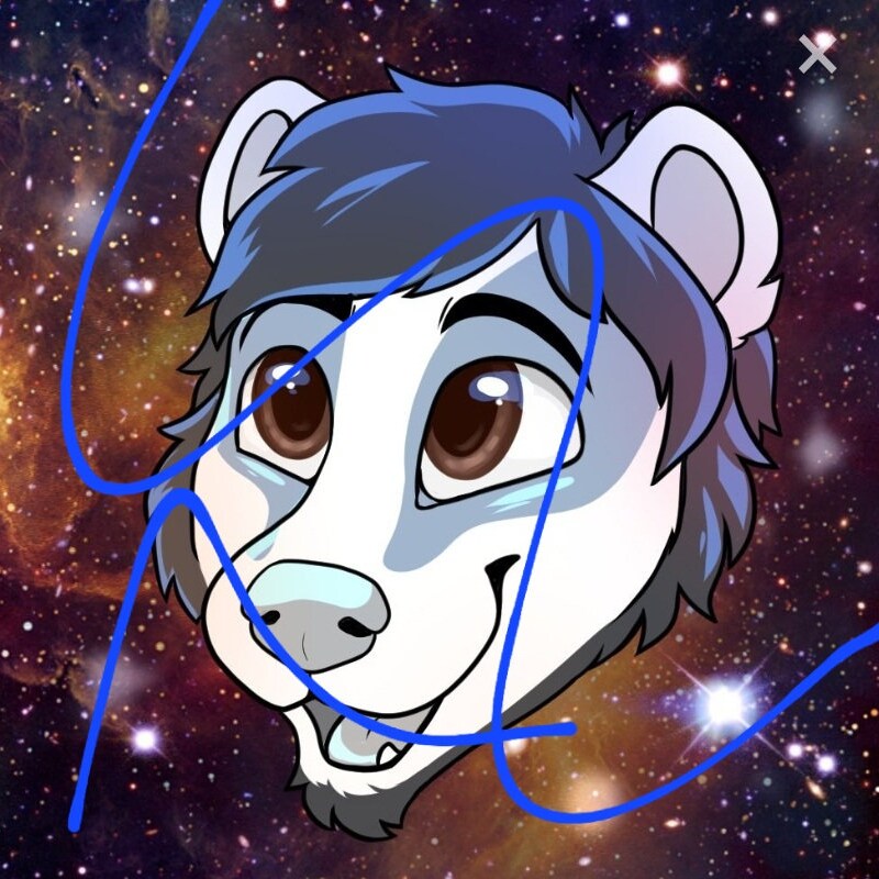 Raccoon Fursona - Etsy