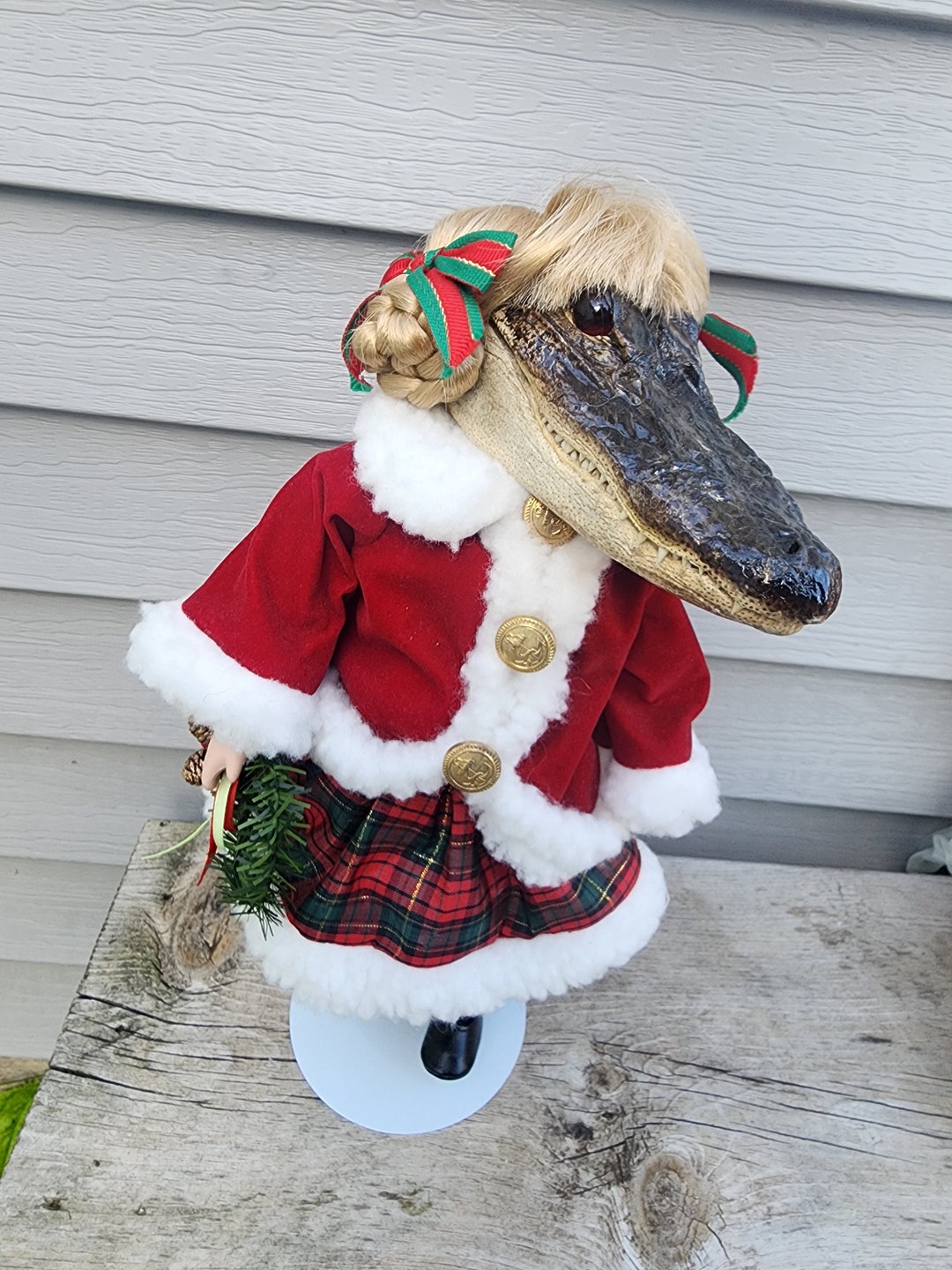 Gator Mummified Freeze Dried Wet Specimen Taxidermy Mount Oddities ...