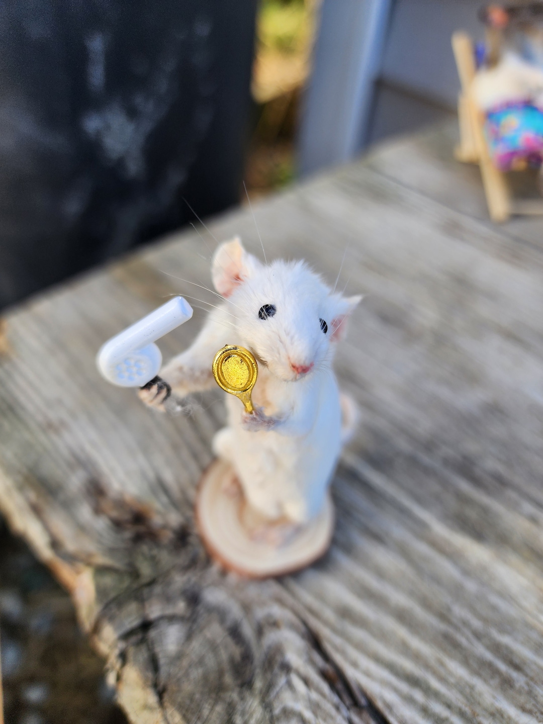 Mouse Mount Racoon Opossum Taxidermy Mount Obscure Oddities Chipmunk ...