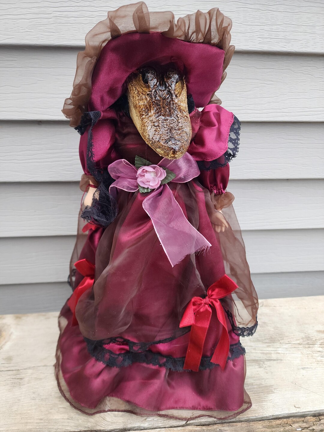 Gator Mummified Freeze Dried Wet Specimen Taxidermy Mount Oddities ...