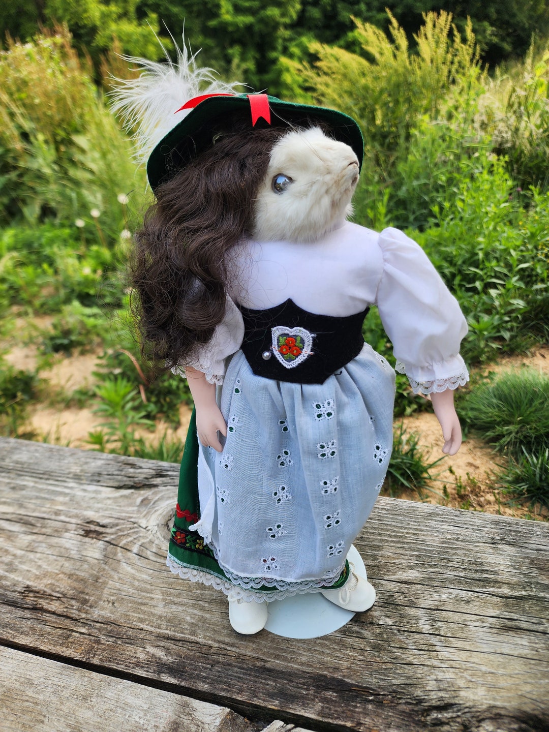 Rabbit Mummified Freeze Dried Wet Specimen With Jar Taxidermy Mount ...