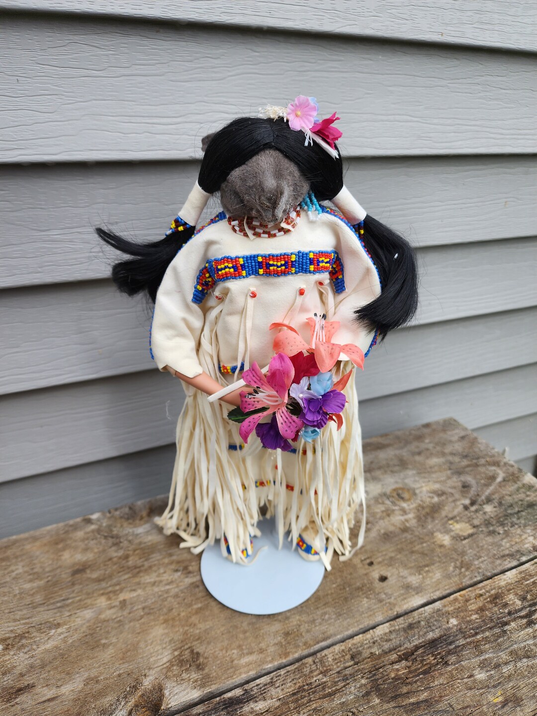 Rabbit Mummified Freeze Dried Wet Specimen With Jar Taxidermy Mount ...