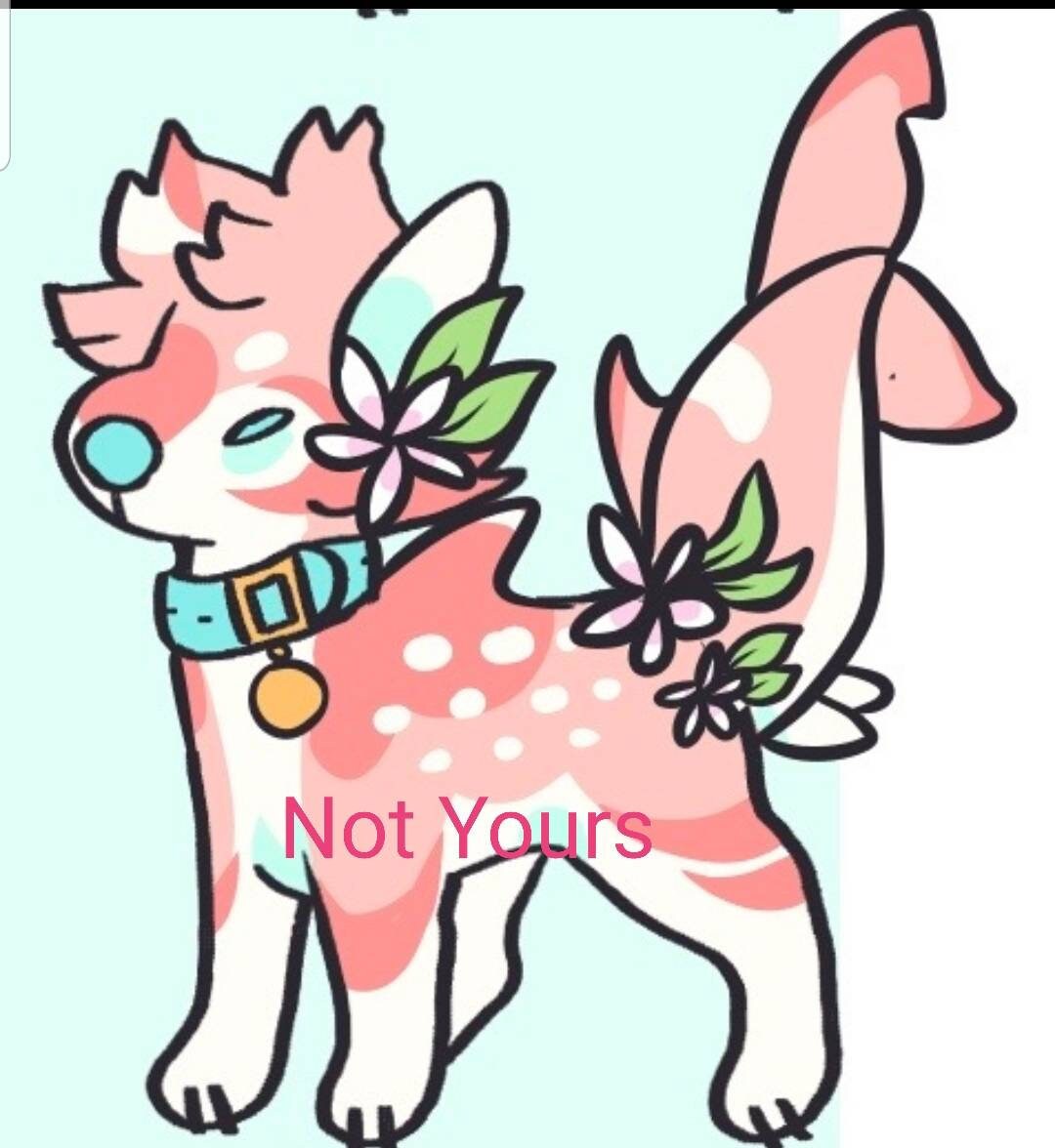 Art Character adopt puppy dog orca fish rainbow wolf fursona | Etsy