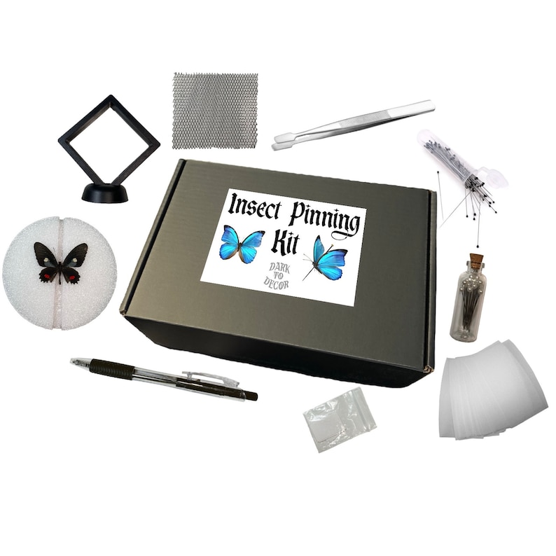Insect Pinning Kit - Etsy