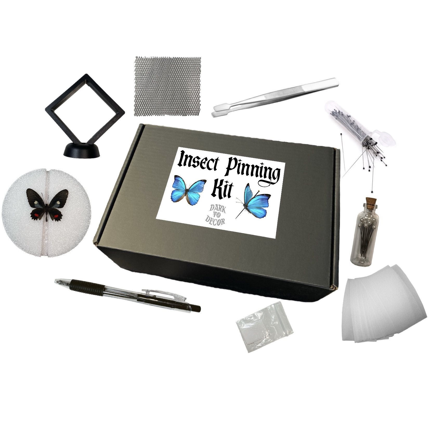 Insect Pinning Kit - Etsy