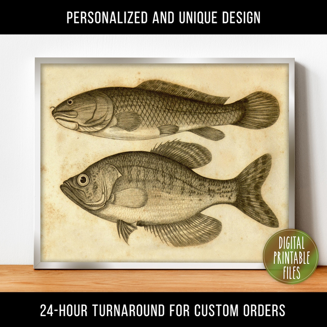 Vintage Fish Art Drawing, Bowfin Crappie Bass Fishing Digital Printable ...