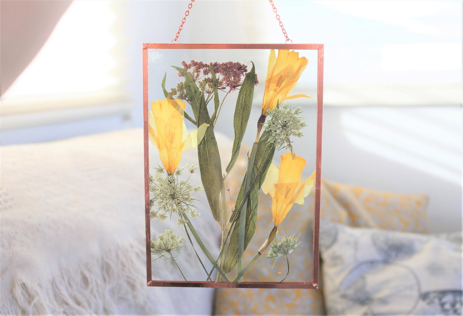 Framed Pressed Flower Wall Hanging Butterfly Weed | Etsy