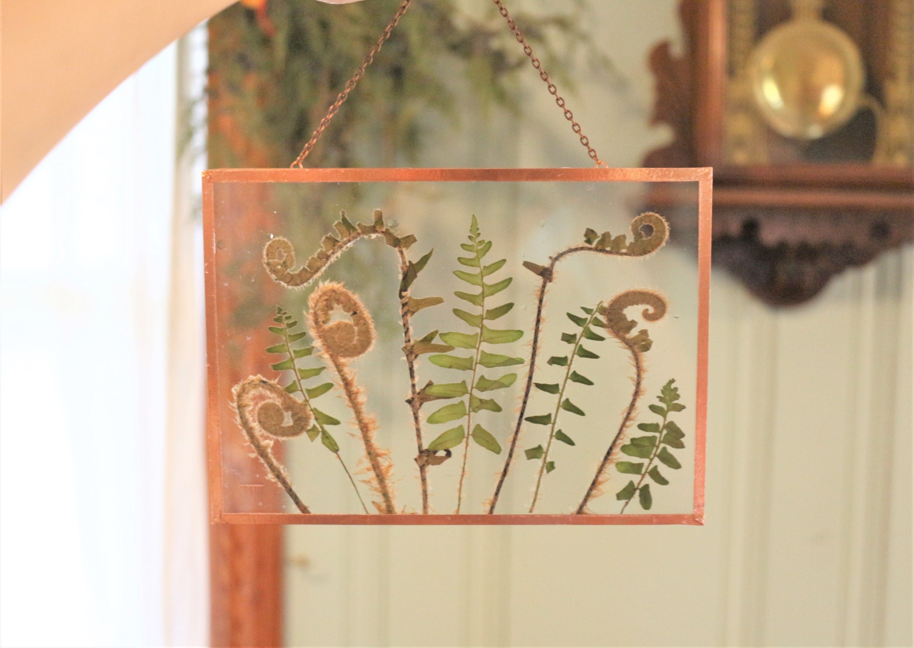 Pressed Flower Wall Hanging Spring Forest Fiddleheads and | Etsy