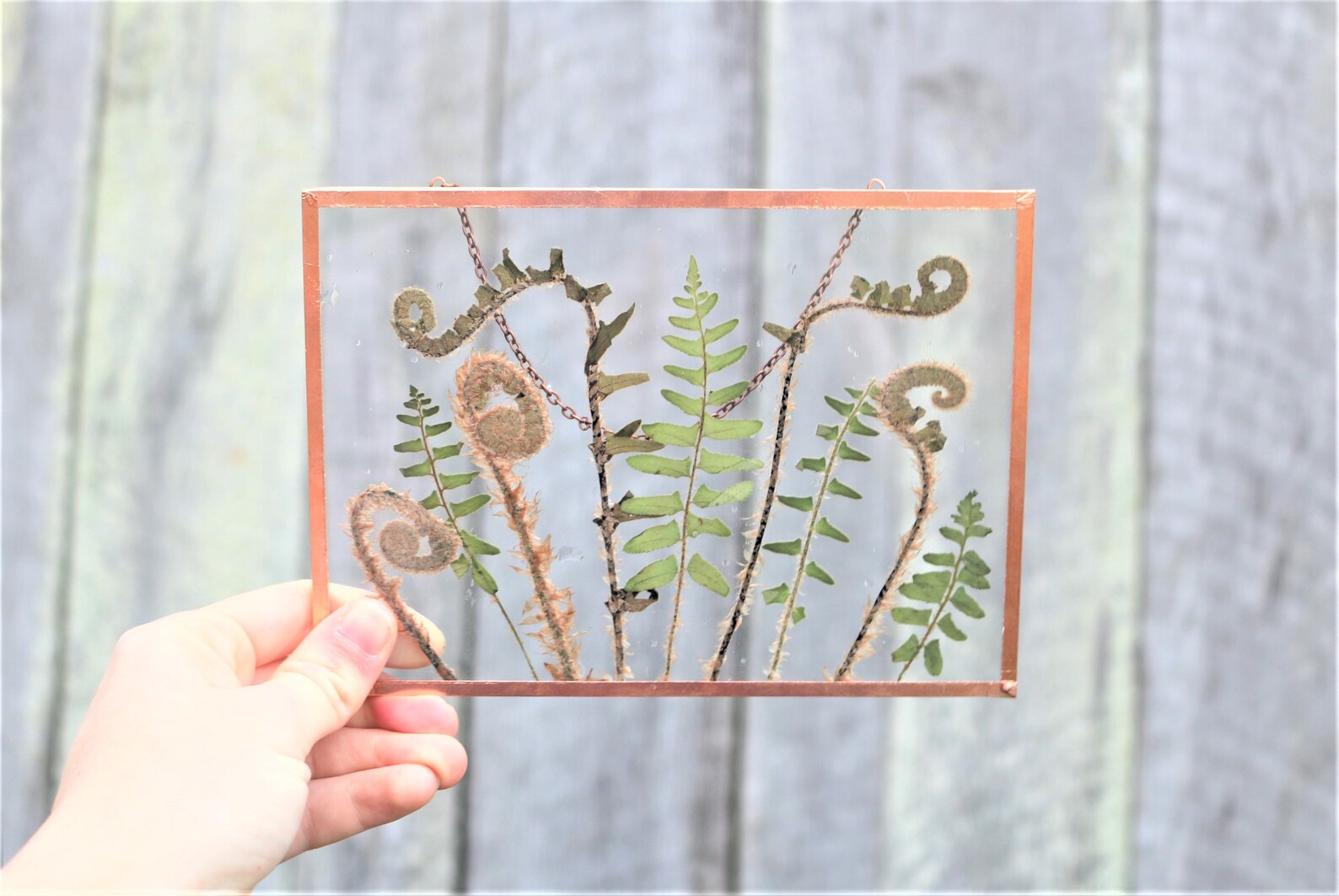 Pressed Flower Wall Hanging Spring Forest Fiddleheads and | Etsy