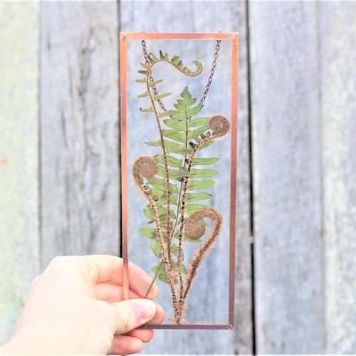 Pressed Flower Wall Hanging Spring Forest Fiddleheads and | Etsy