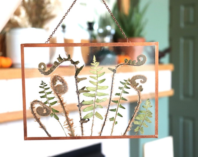 Pressed Flower Wall Hanging Spring Forest Fiddleheads and Ferns ...