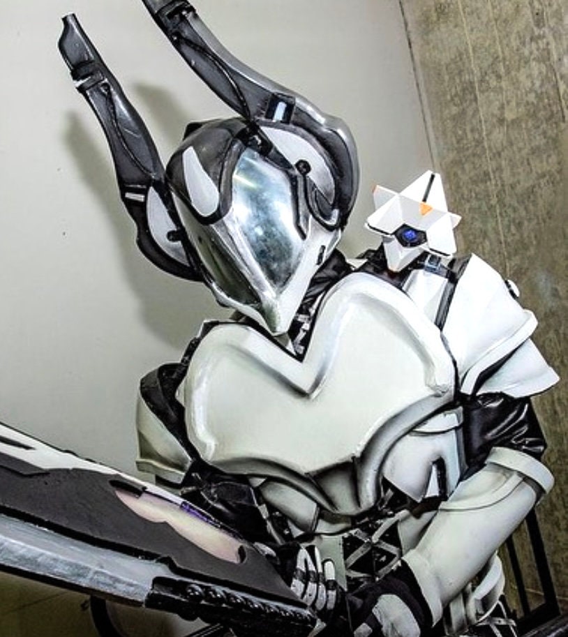 D1/D2 Custom Commissioned Armor Set - Etsy