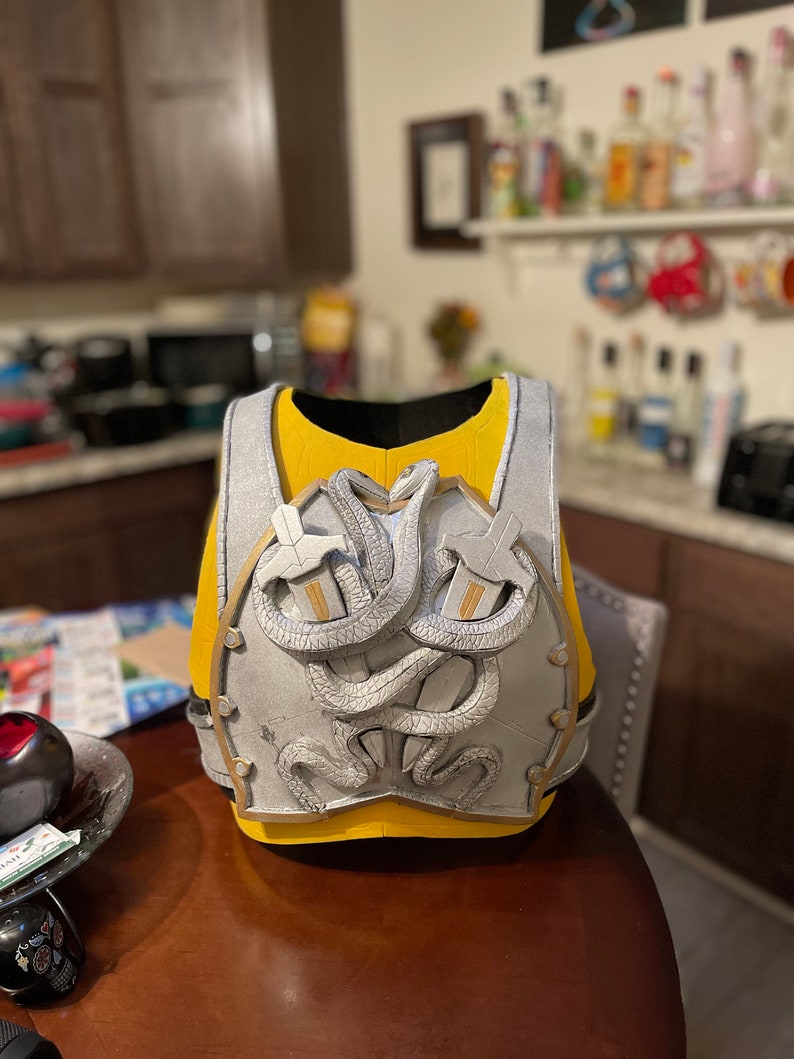 D1/D2 Custom Commissioned Chest Armor - Etsy