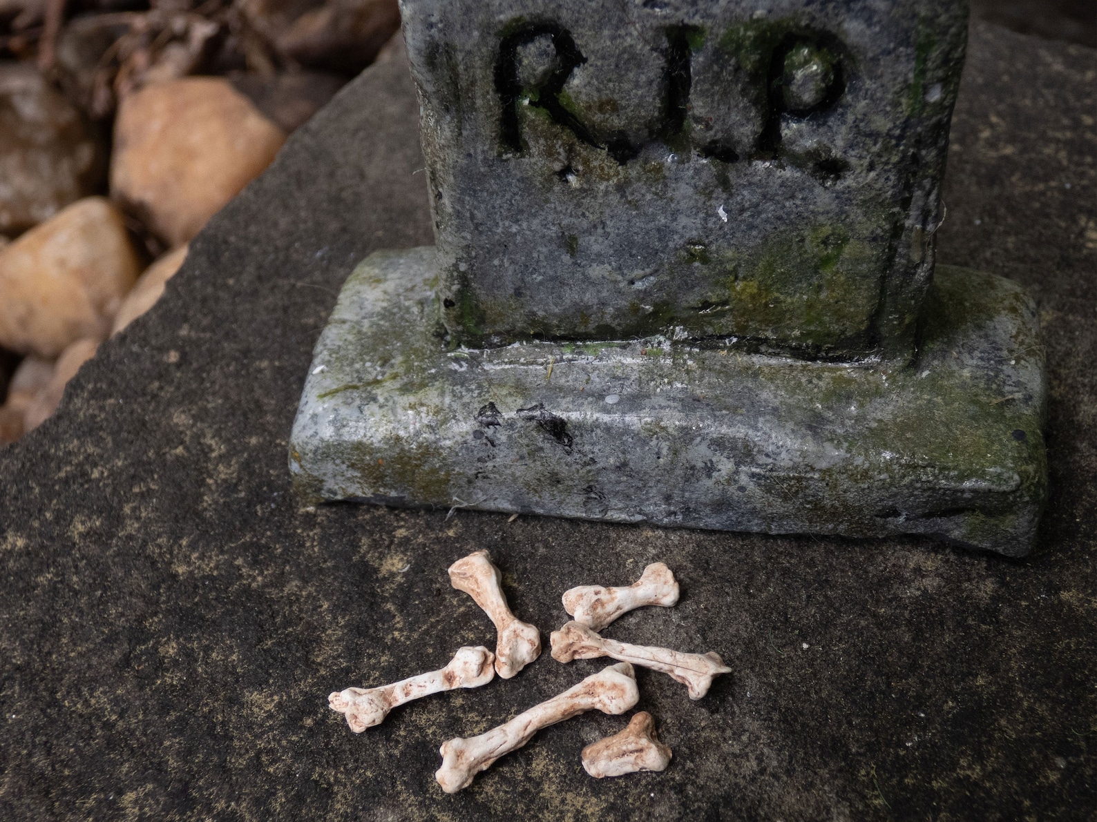Old Miniature Bones Roughly 1:32 Scale -set of 5 Bones + 'bone ...