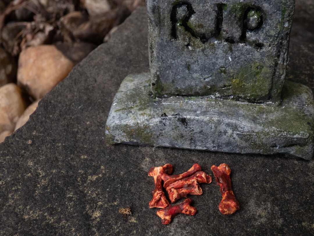 Meaty Miniature Bones 1:33 Scale set of 5 'bone Fragments' BONES ONLY ...