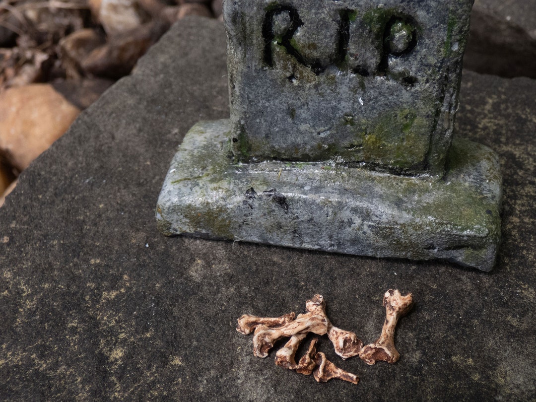 Ancient Miniature Bones 1:33 Scale -set of 5 + 'bone Fragments' -BONES ...
