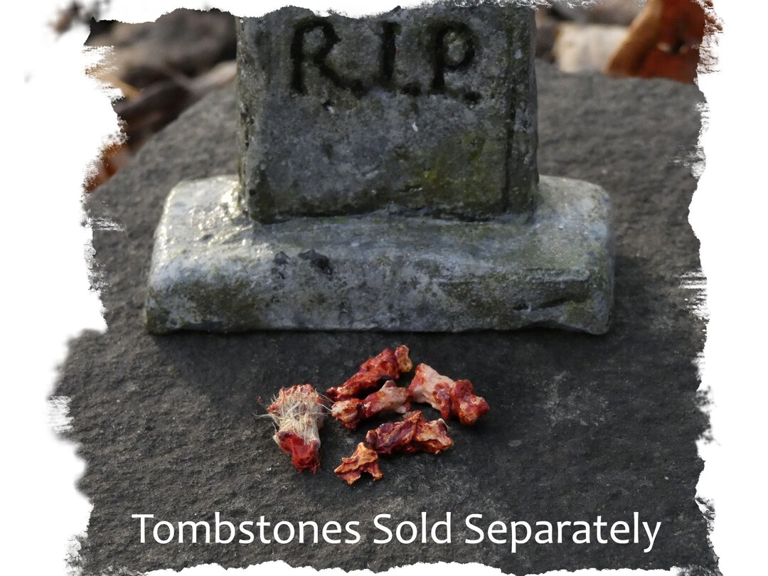 Fresh Kill Miniature Bones 1:33 Scale -set of 5+ 'bone Fragments ...