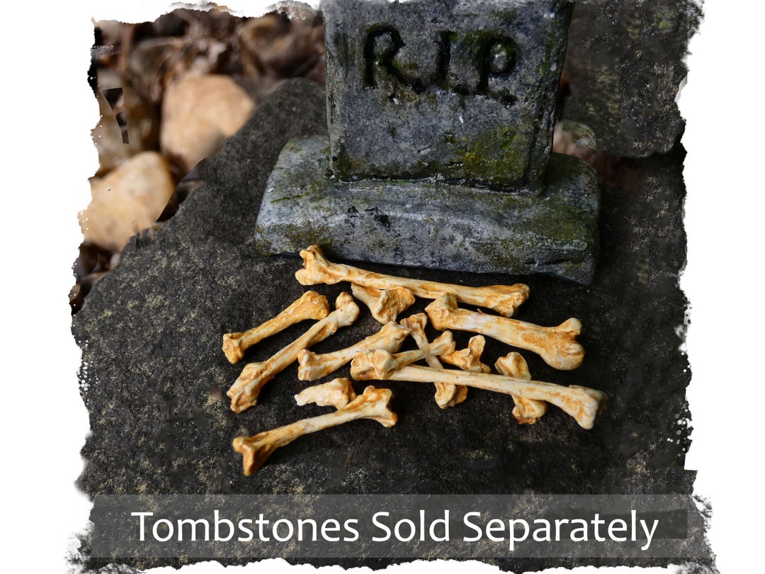 Antique Miniature Bones 1:12 Scale -set of 10 + 'bone Fragments' -BONES ...