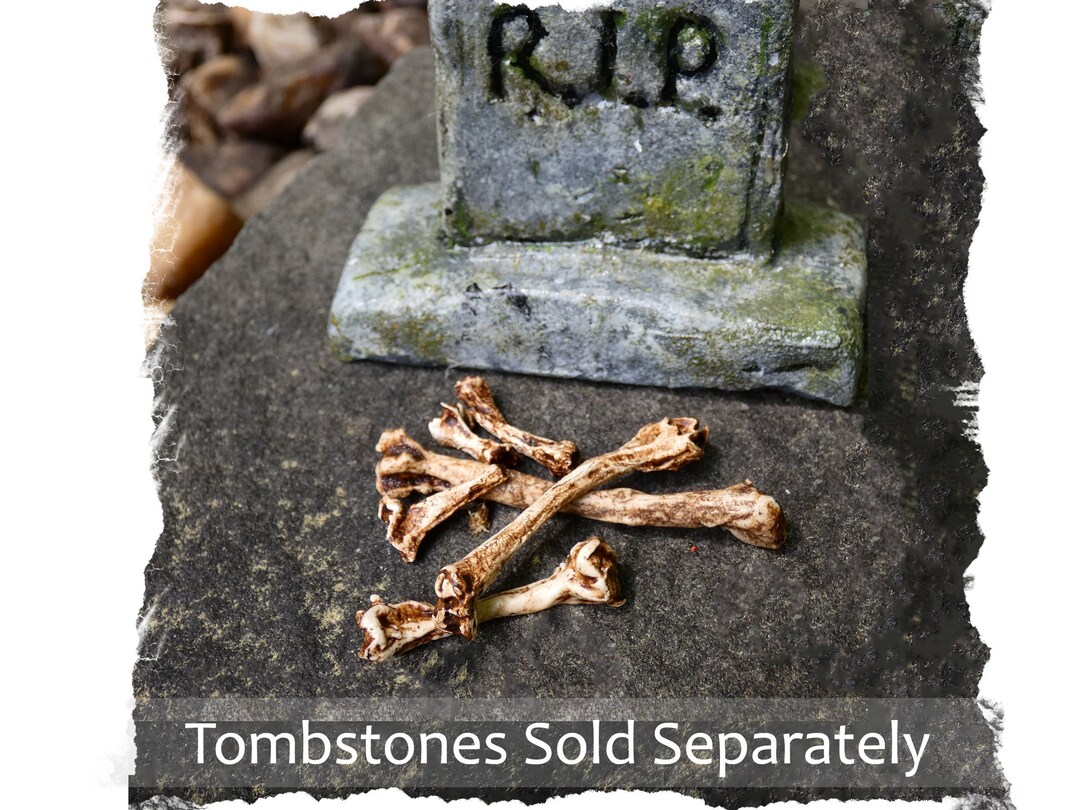 Ancient Miniature Bones 1:12 Scale -set of 5 + 'bone Fragments' -BONES ...