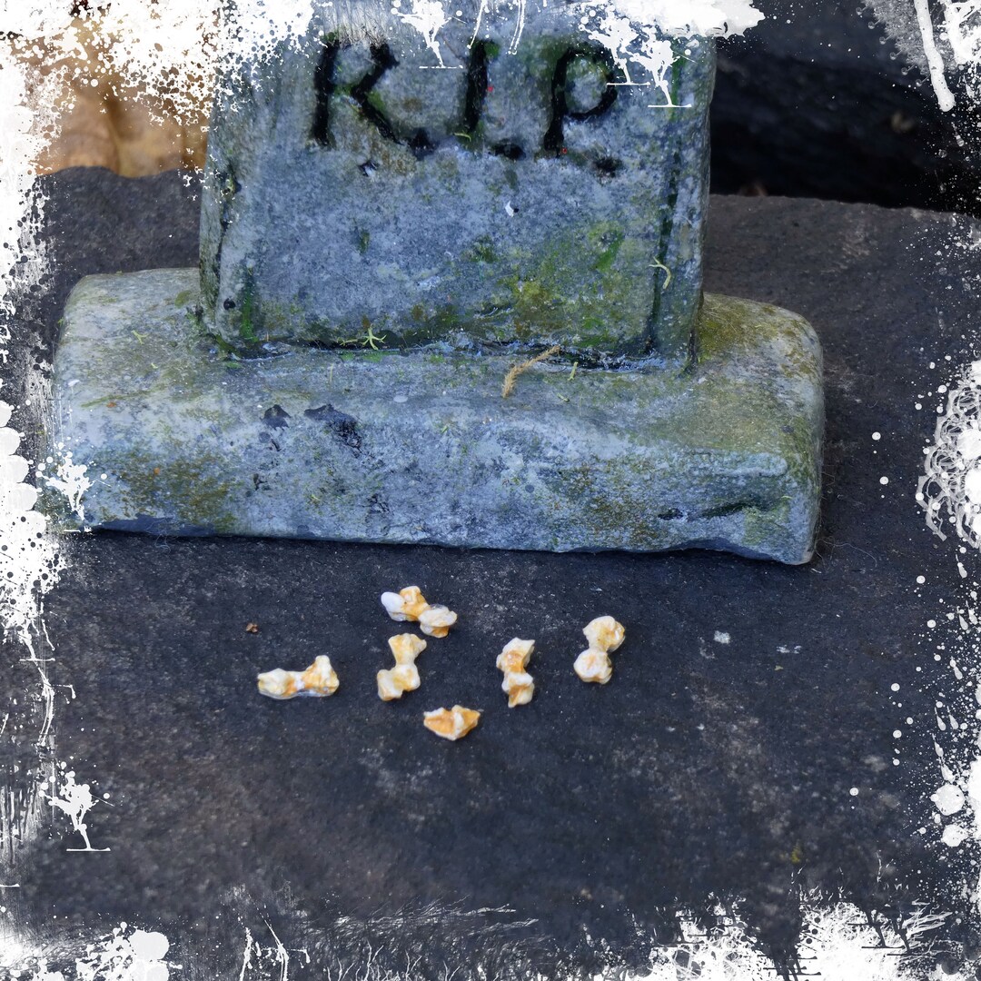 Antique Miniature Bones 1:48 Scale -set of 5 + 'bone Fragments' -BONES ...