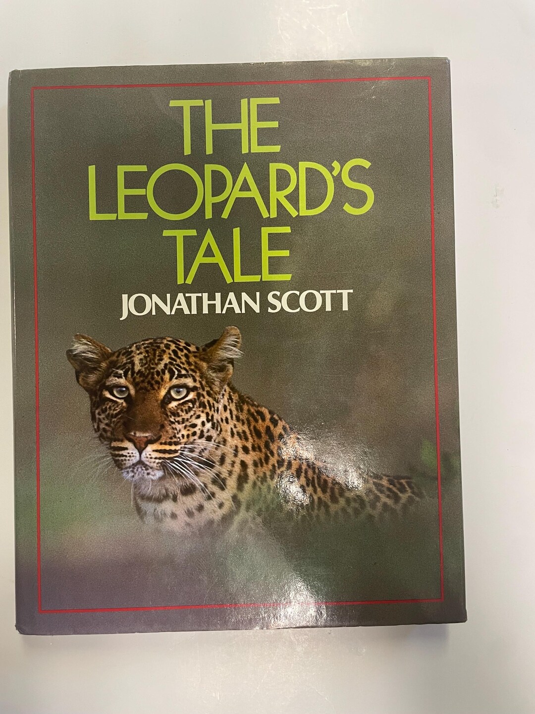 The Leopards Tale Jonathan Scott Signed - Etsy