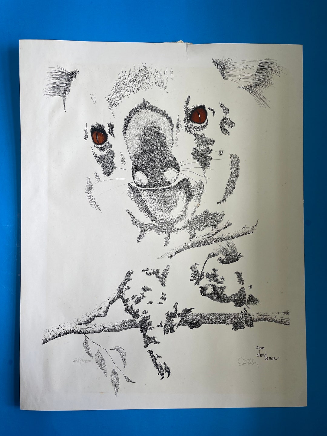 David Schor Quala Bear 1998 484/500 - Etsy