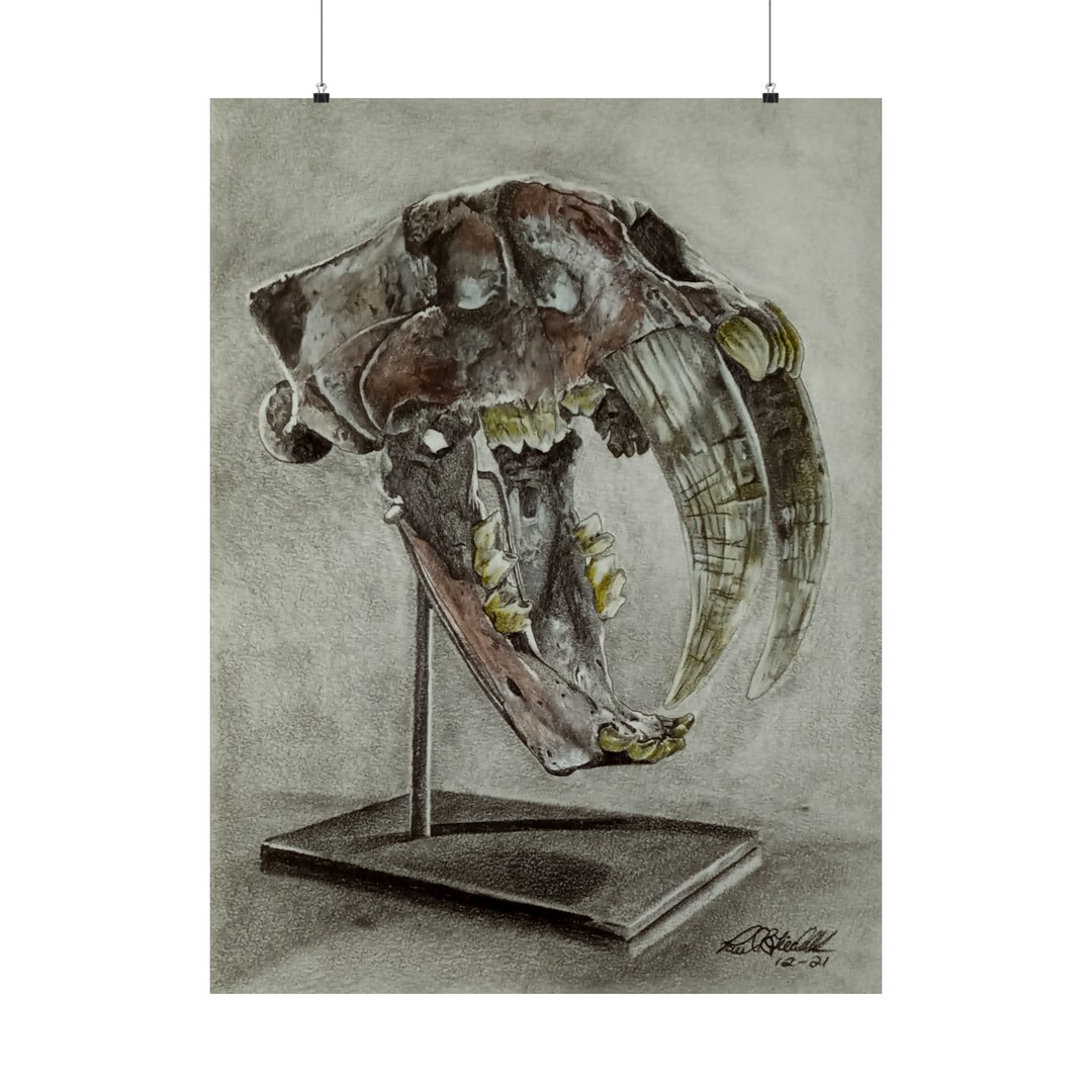 Smilodon Skull Posters - Etsy