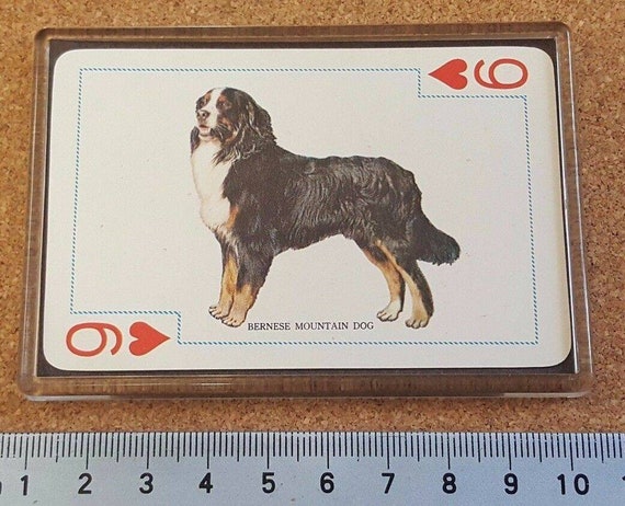 Great Dane Fridge Magnet Playing Card Dog Breeds Of The World Dogs ...