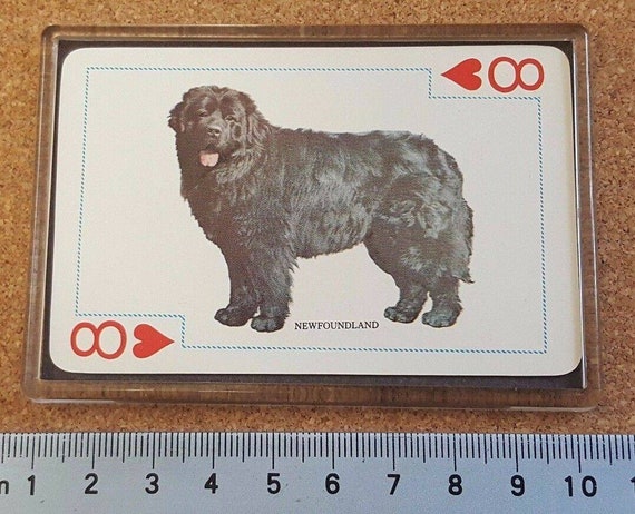 Great Dane Fridge Magnet Playing Card Dog Breeds Of The World Dogs ...