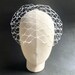 White Birdcage Veil, White Face Veil Wedding, Bachelorette Veil, Hens ...