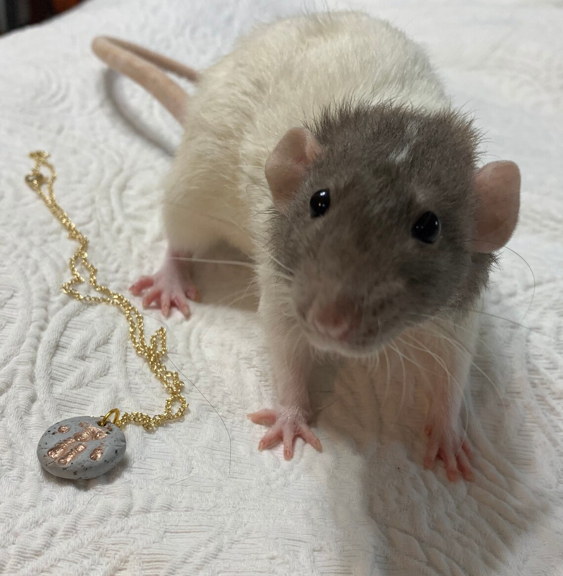 Rat paw pendant | Etsy