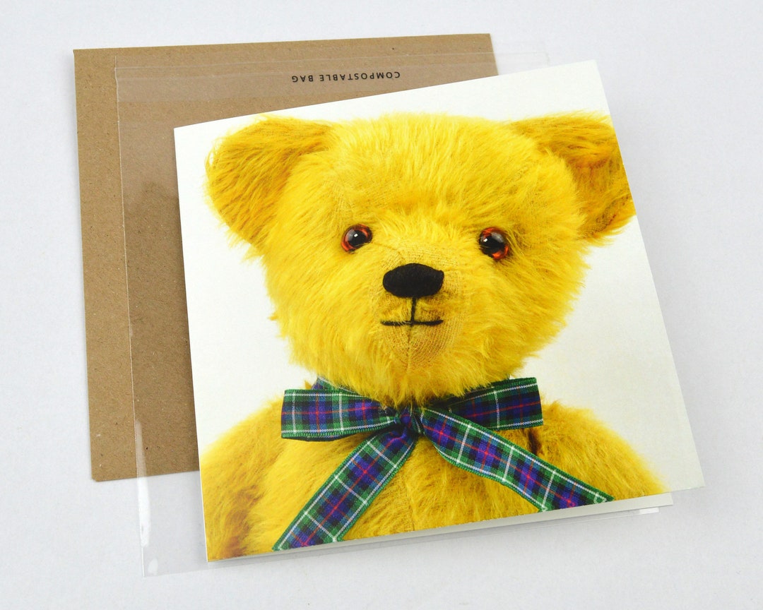 Teddy Bear Greetings Card With Kraft Envelope Beautiful Old Bear ...