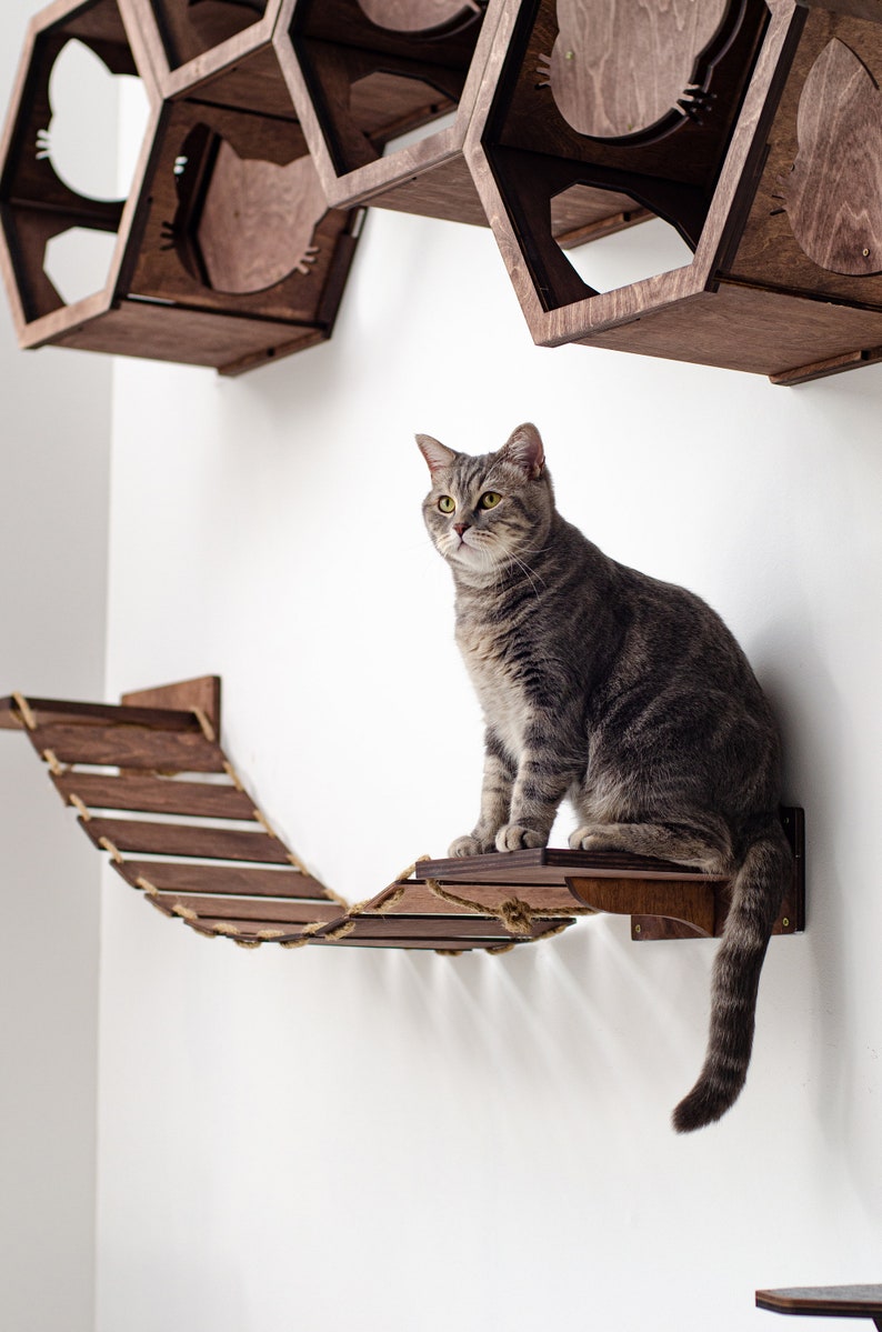 Cat Climber Wall Cat Bridge Modern Cat Shelves Bridge Cat - Etsy