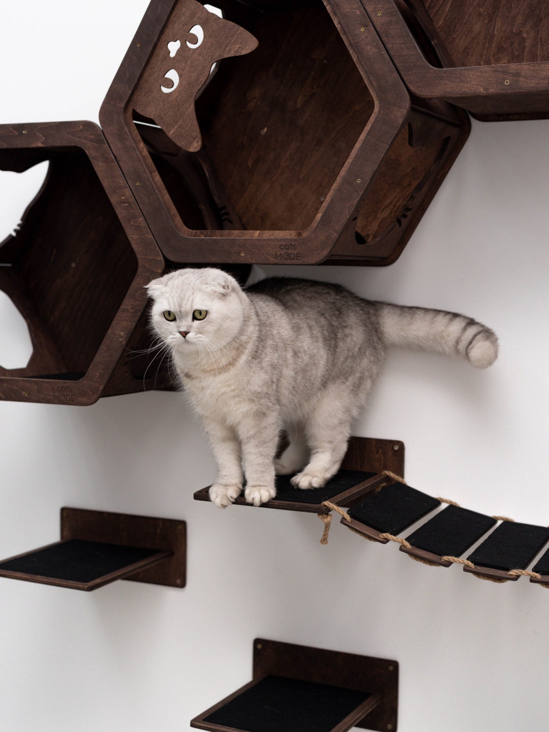 Wall Mount Shelf With Cat Steps, Cat Hexagon Shelves, Wood Wall ...