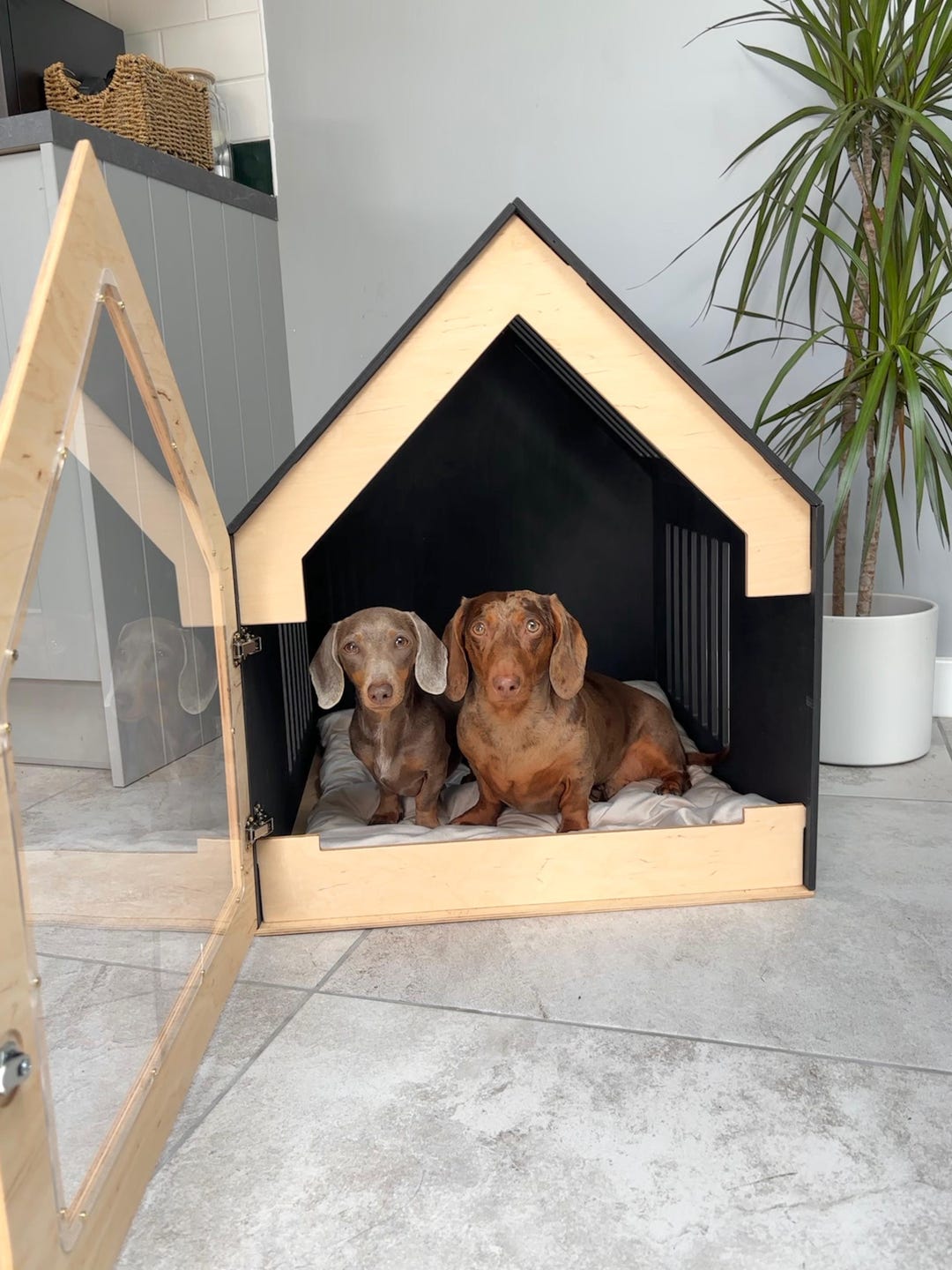 Modern Dog and Cat House With Acrylic Door, Extra Small Indoor Dog ...