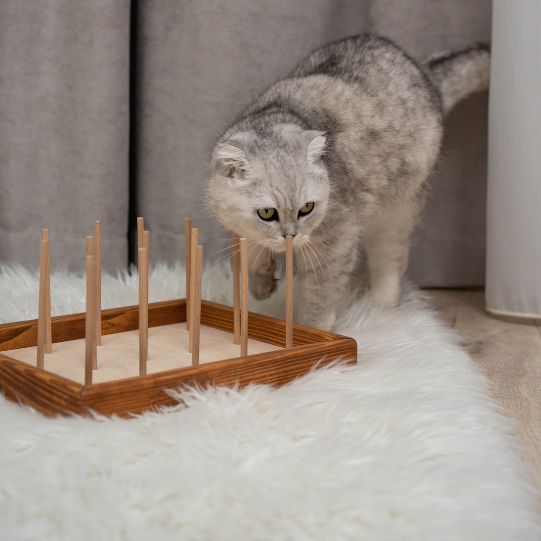 Personalized Wooden Cat Toy, Cat Chewing Toy, Recommended Cat Toys to ...