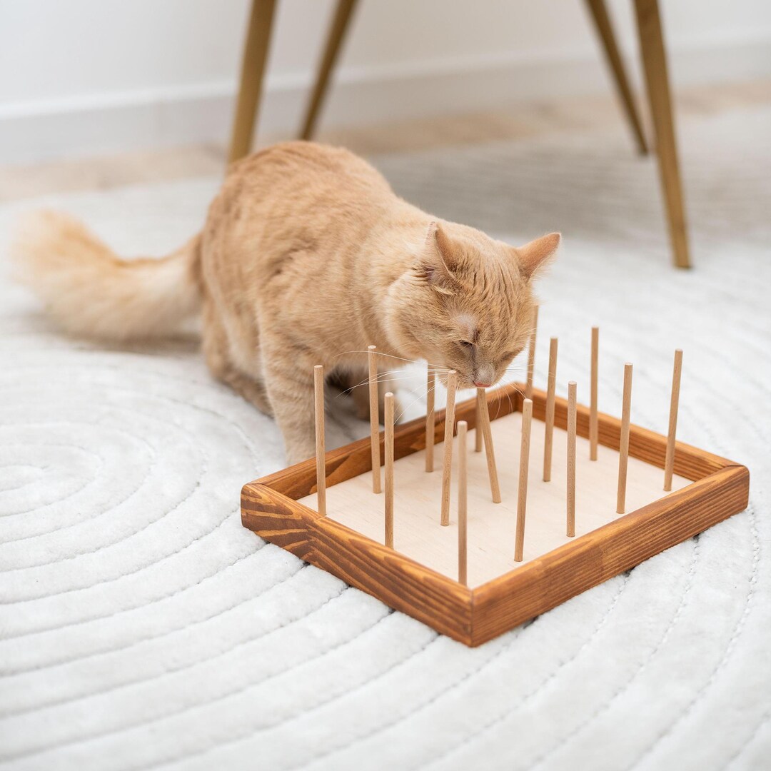 Personalized Chew Board for Cats, Chew Sticks for Cat, Modern Cat ...