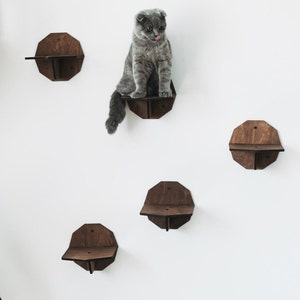 Cat Hexagon Shelves Wood Wall Furniture for Cats Wall Mount - Etsy