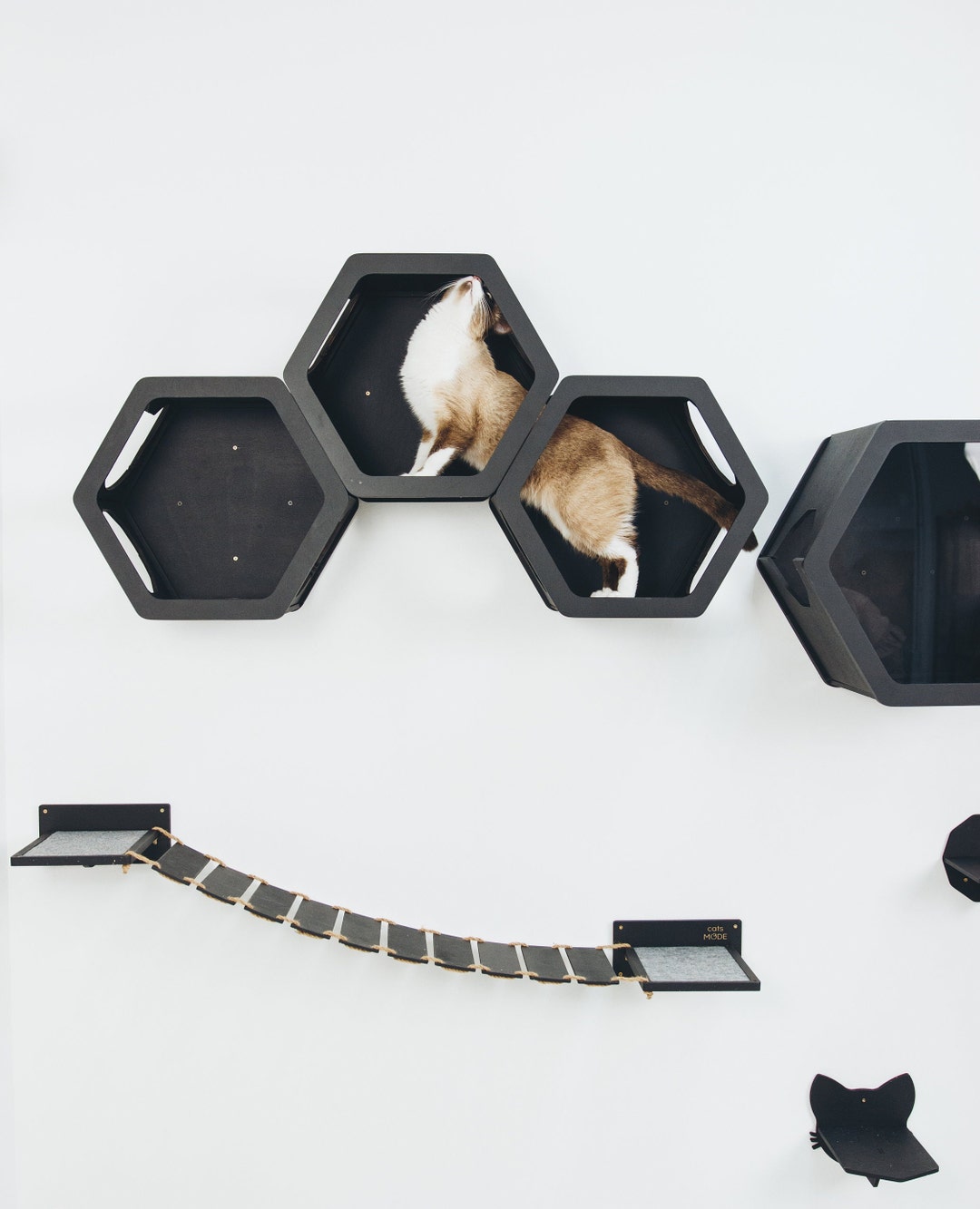 Cat Wall Hexagon Cat Shelves Cat Wall Furniture Wood - Etsy